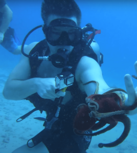 Cogenuity Partners Closes Debut Fund with $425 Million in Committed ...