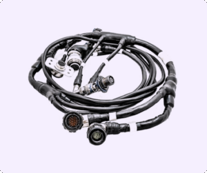 Next Generation Private Equity | Cogenuity